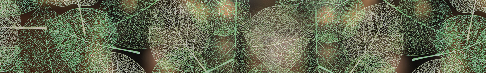 Decorative Window Films, buydecorativefilm.com — BDF BuyDecorativeFilm